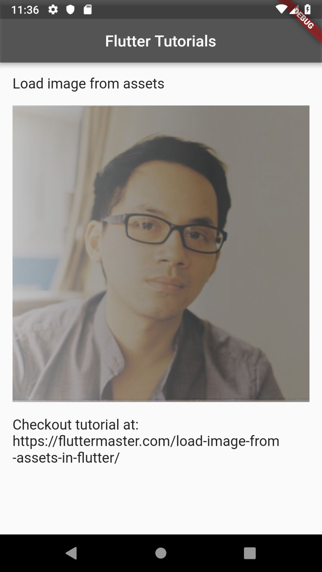 Load Image From Assets In Flutter • Fluttermaster